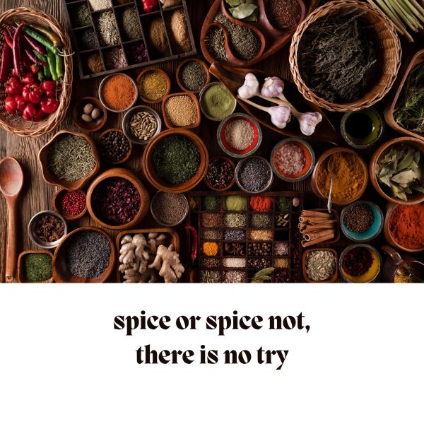 Maîtriser les épices : Créez votre propre curry-Level 1 – Alaïchi